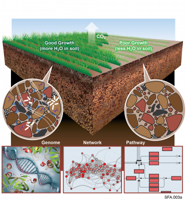 PNNL Soil Microbiome SFA | Datahub